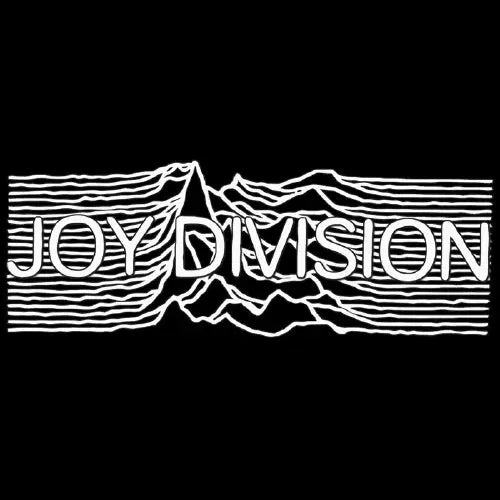 Joy Division | Twisted Thread NZ
